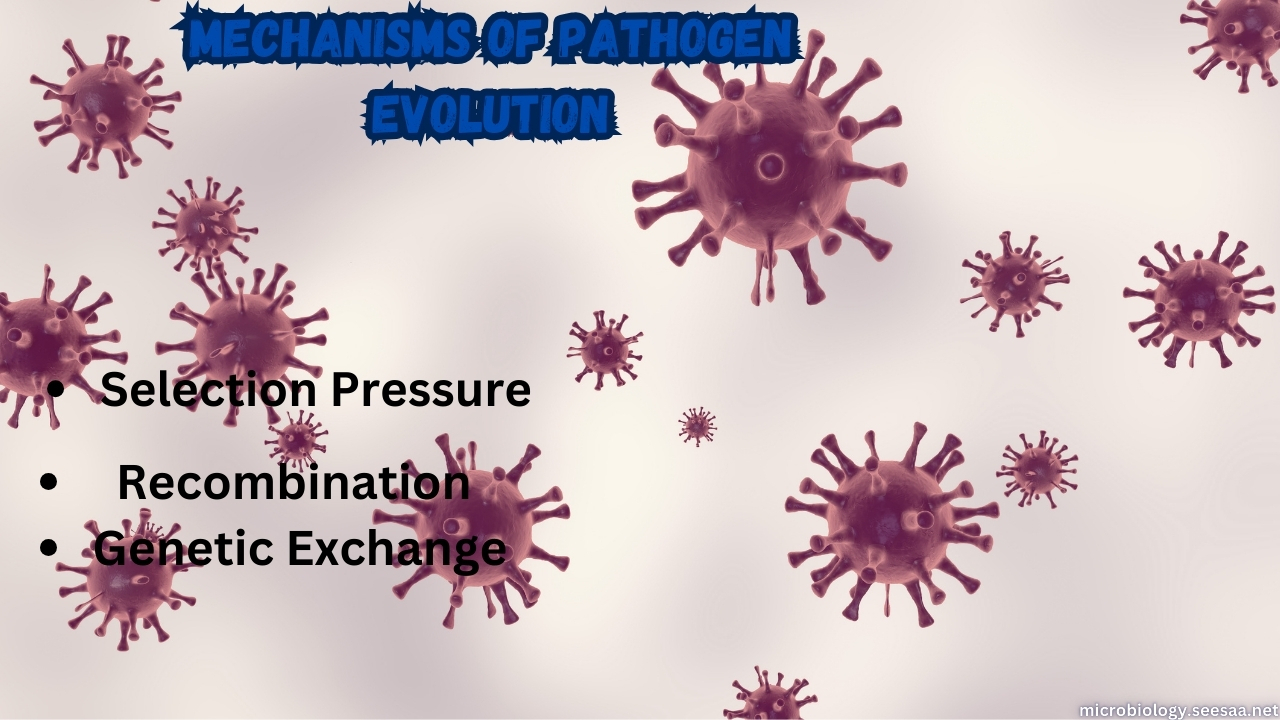 Pathogen Evolution and Emerging Infectious Diseases: Microbiology