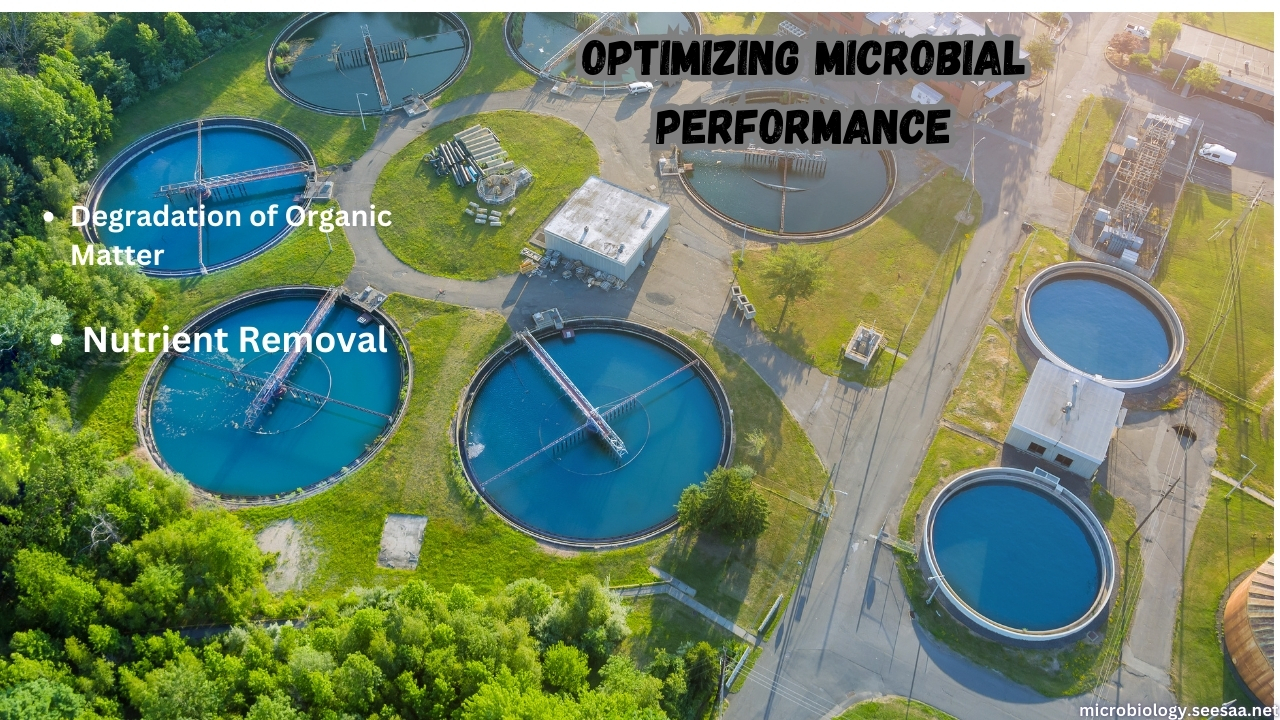 Microbiological Aspects of Wastewater Treatment: Microbiology