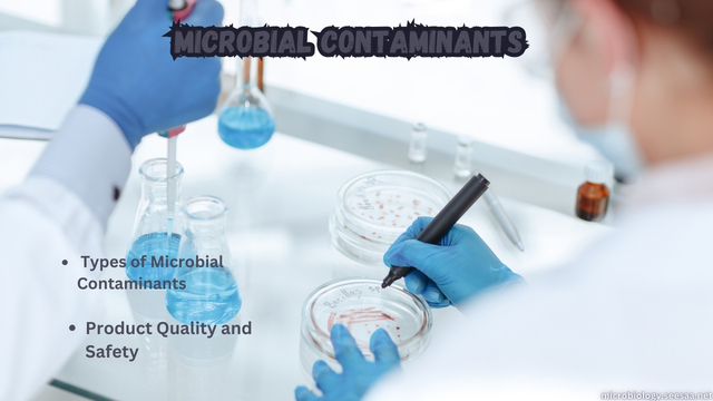 Microbial Contaminants in Pharmaceutical Manufacturing: Microbiology