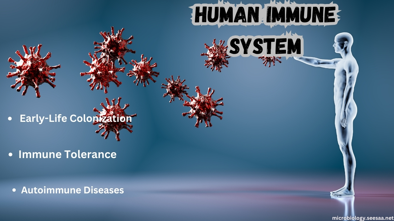 Microbial Contributions to the Human Immune System: Microbiology